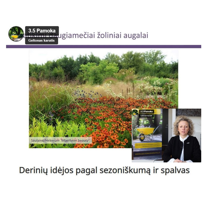 Kursai „Natūralistinis gėlynas“